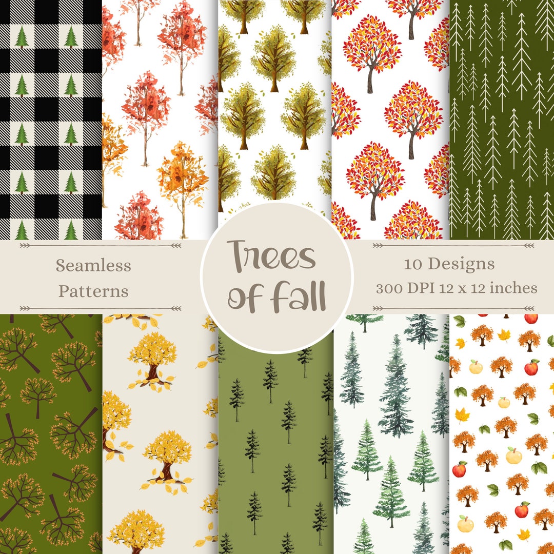 Fall Trees Digital Patterns | Autumn Seamless Paper | Evergreen Images ...