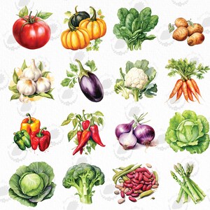 Watercolor Vegetable Clipart Assorted Vegetable Clipart Farm Clipart ...
