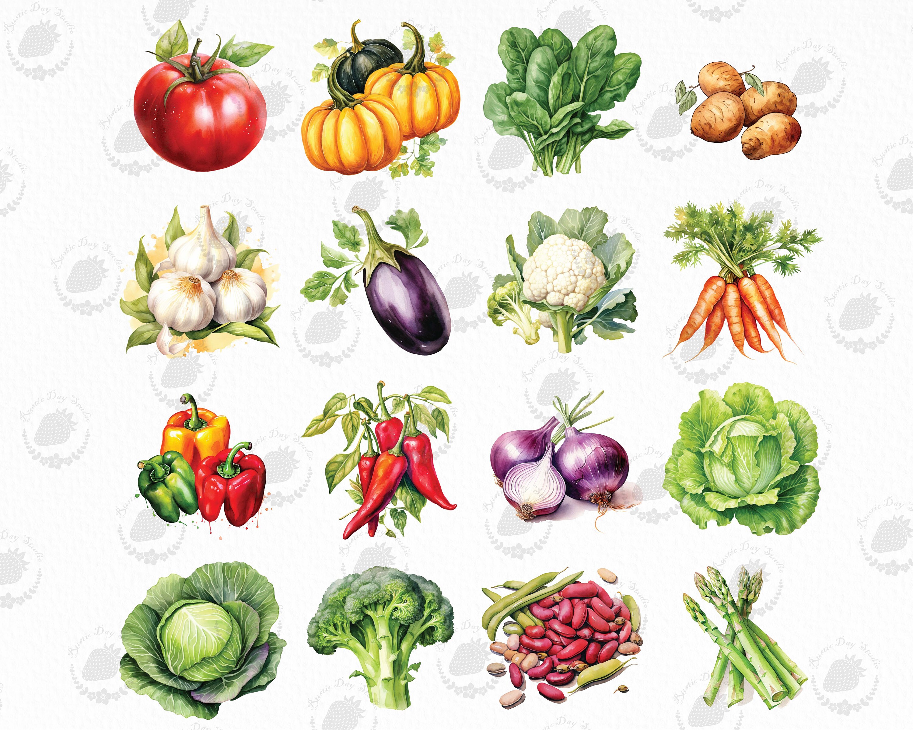 Watercolor Vegetable Clipart Assorted Vegetable Clipart Farm Clipart ...