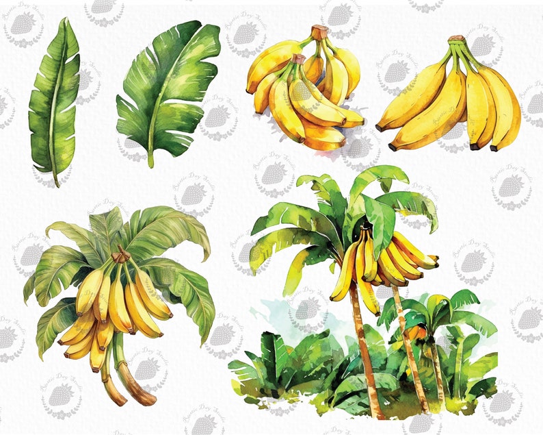 Watercolor Tropical Banana Watercolor Banana Clipart Bundle Juicy and ...