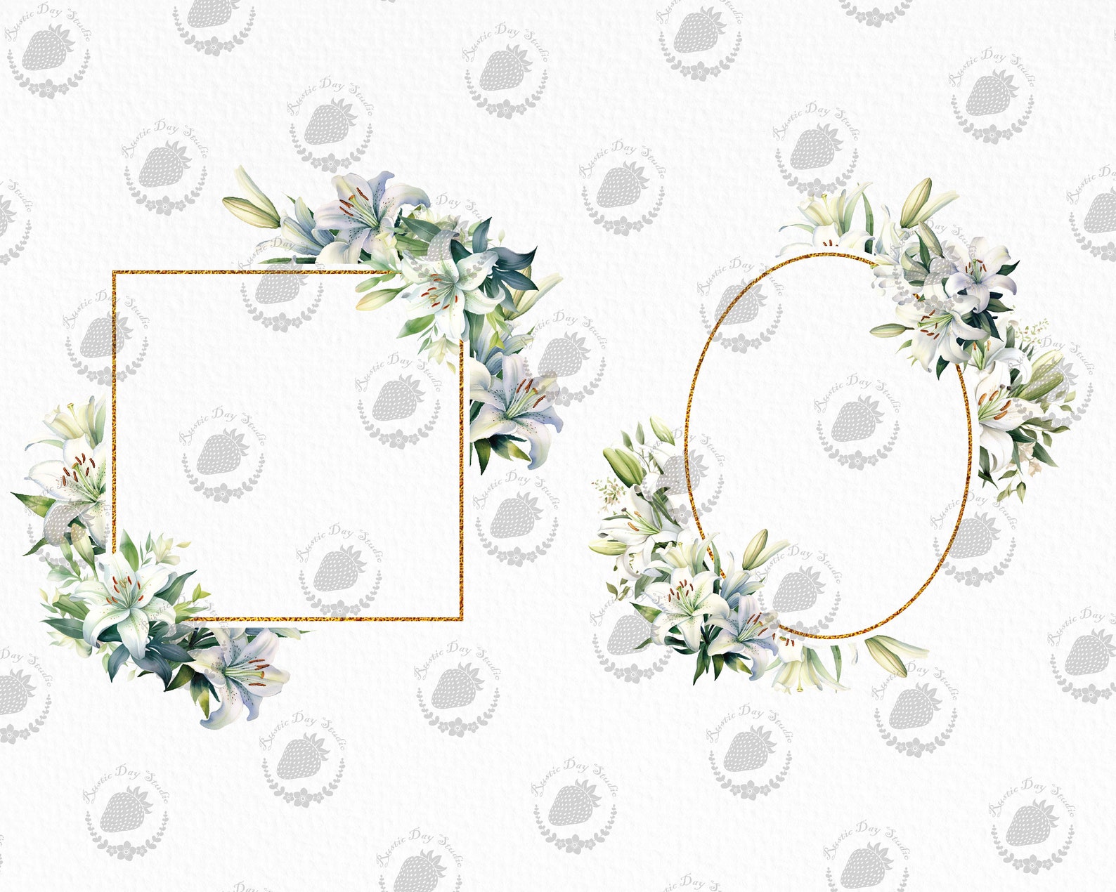 Watercolor White Lily Frames: Floral Clipart Bundle (PNG, SVG, Digital ...