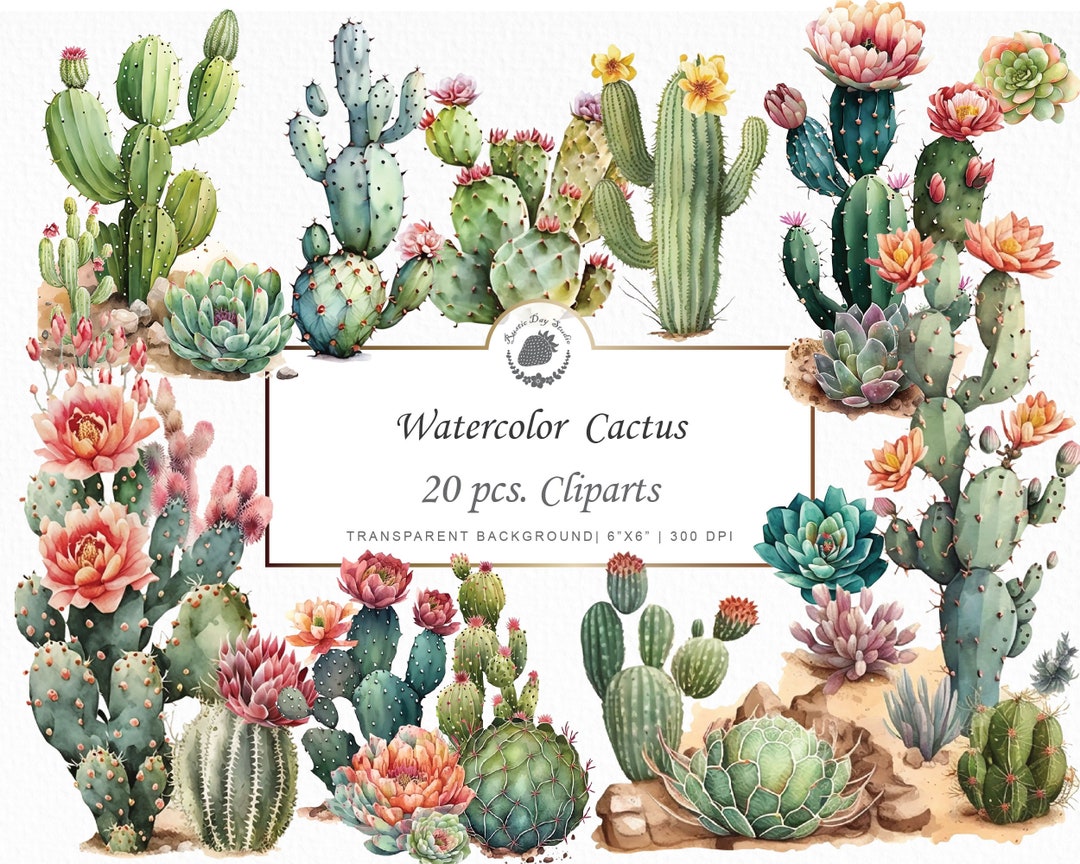 Watercolor Cactus Clipart: Floral PNG SVG Bundle (digital Download) - Etsy