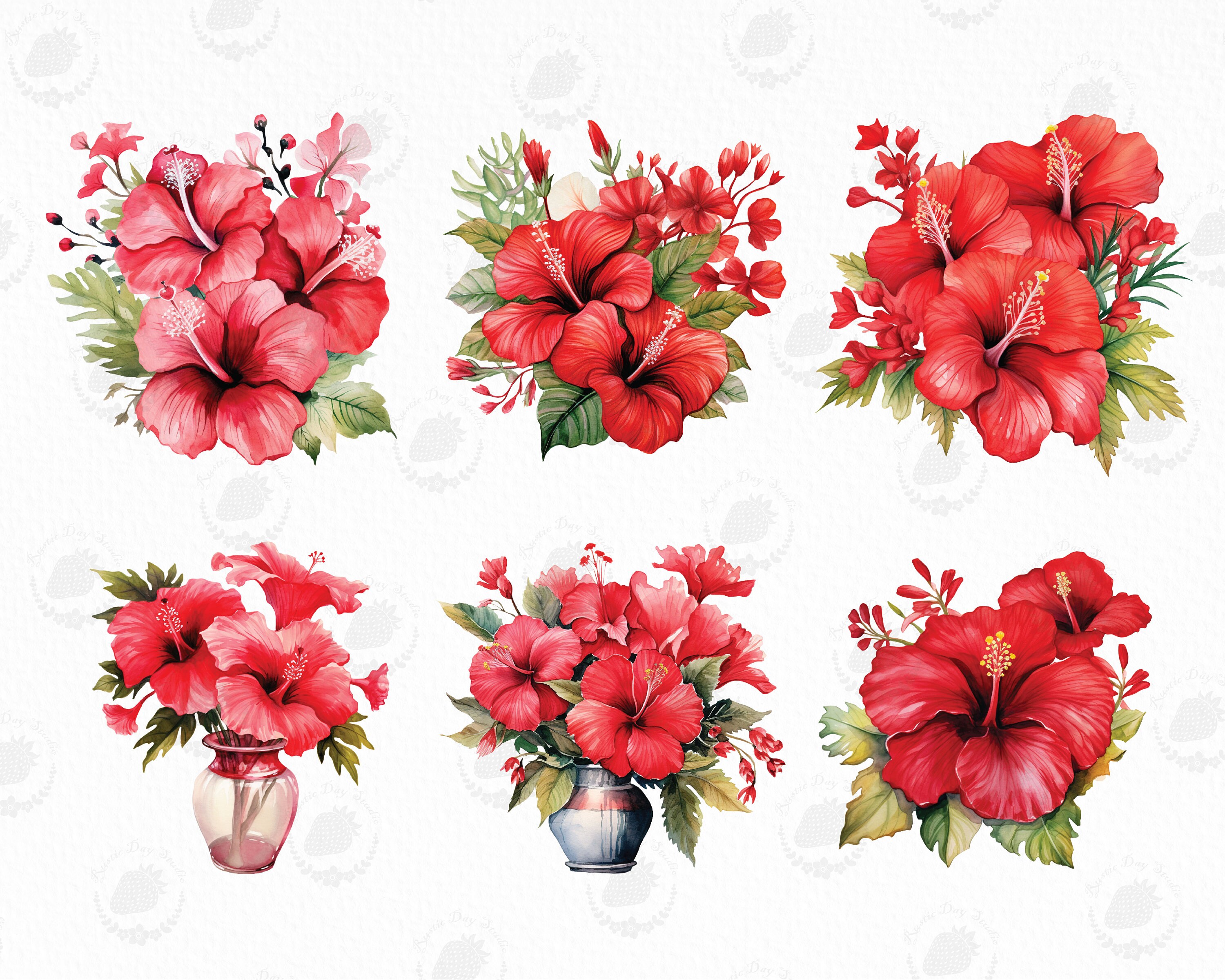 Watercolor Red Hibiscus Clipart Tropical Hibiscus Clipart Bundle Floral ...