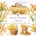 Watercolor Barley Clipart Farm Art Bundle Spring Garden Graphics ...