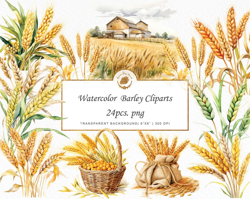 Watercolor Barley Clipart Farm Art Bundle Spring Garden Graphics ...