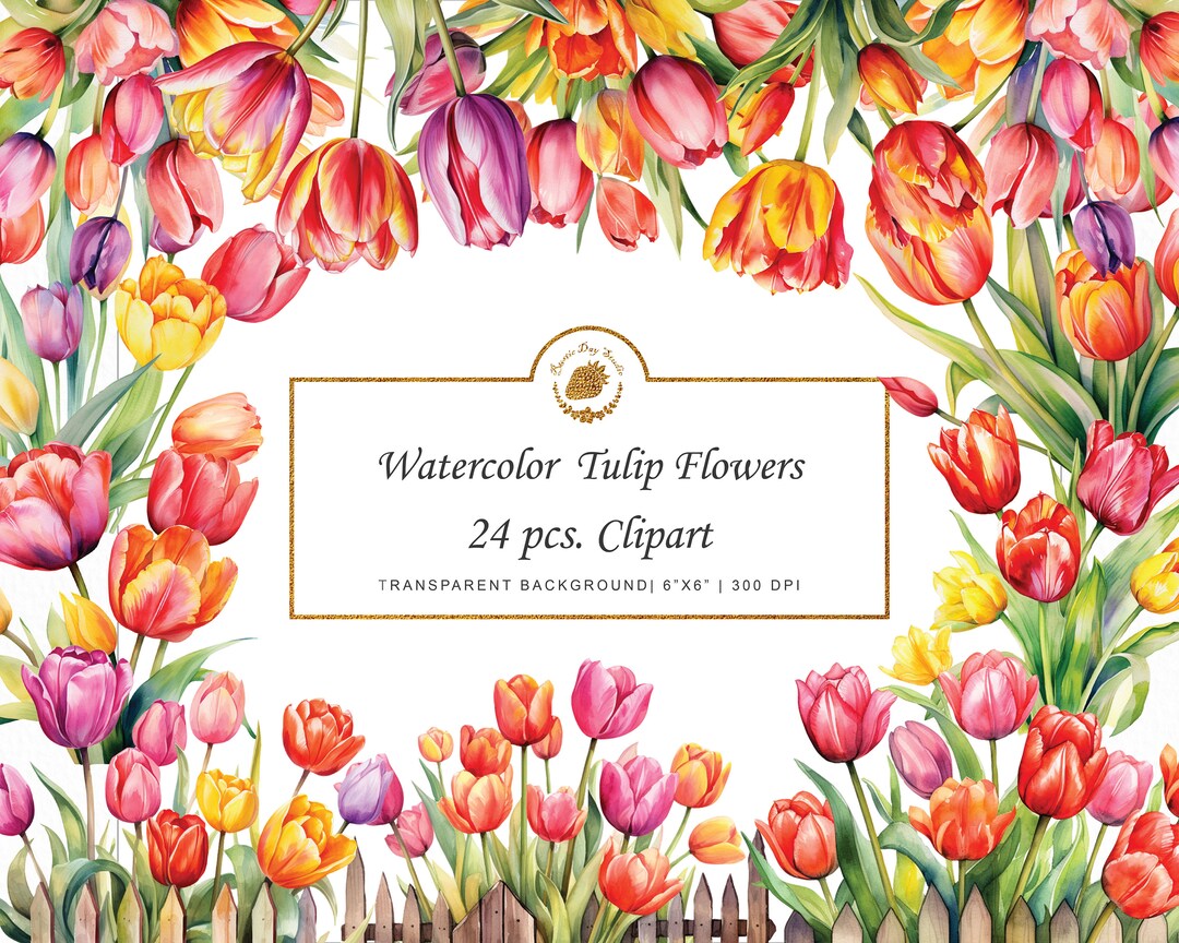Watercolor Tulip Flower Clipart Watercolor Floral PNG Colorful Tulip ...
