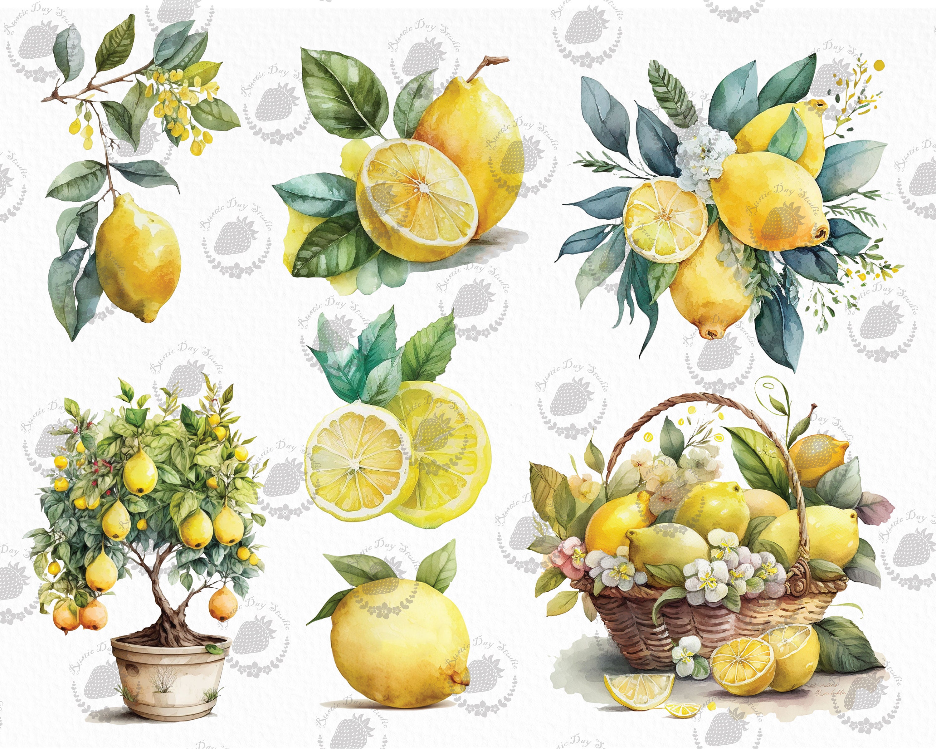 Watercolor Lemon Clipart Bundle: Summer Graphics (PNG, SVG) - Etsy