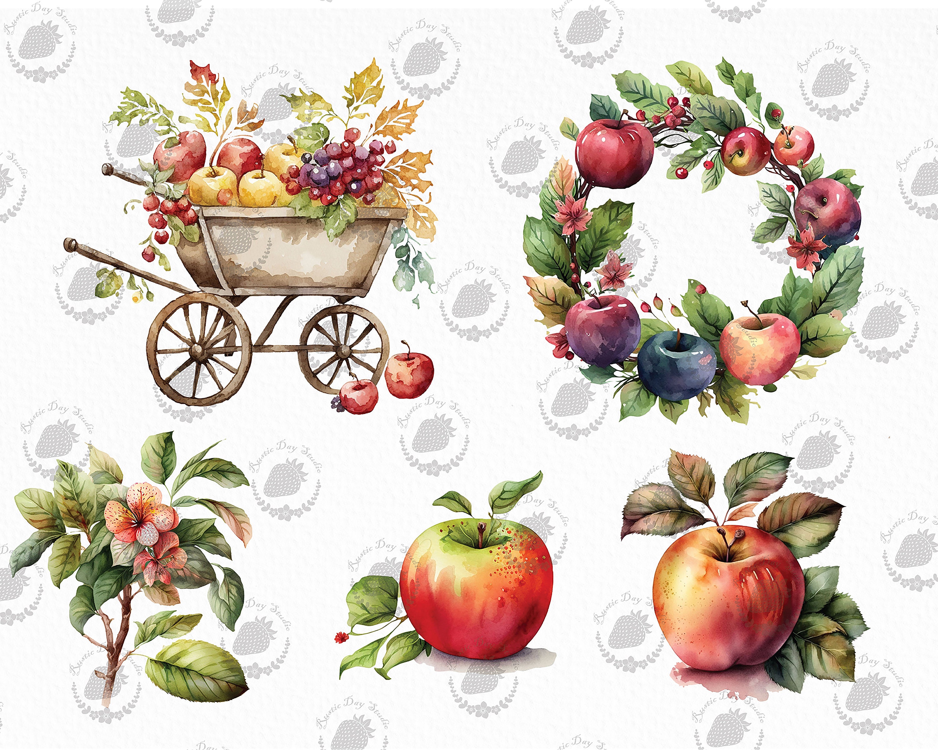 Watercolor Apple Clipart Autumn Clipart Fruit Clipart Sticker - Etsy