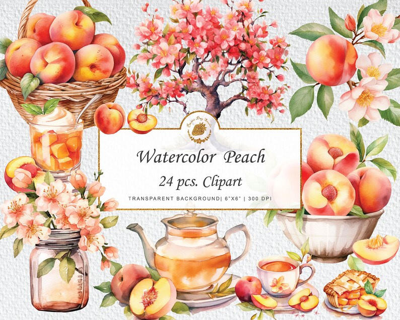 Watercolor Peach Clipart Peach Tree Clipart Peach Flower Clipart ...