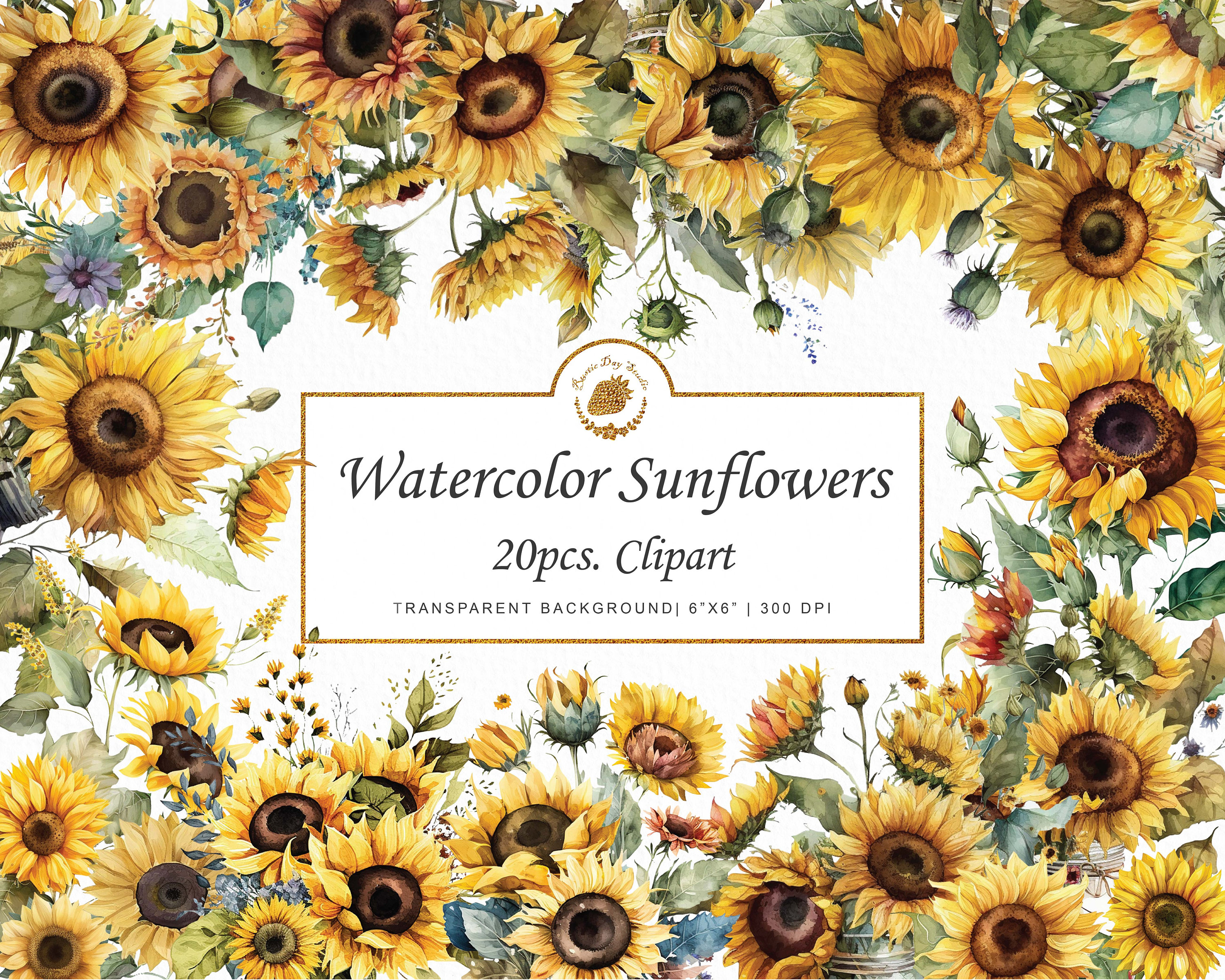 Watercolor Sunflower Clipart Sunflower PNG Clipart Sunflower Watercolor ...