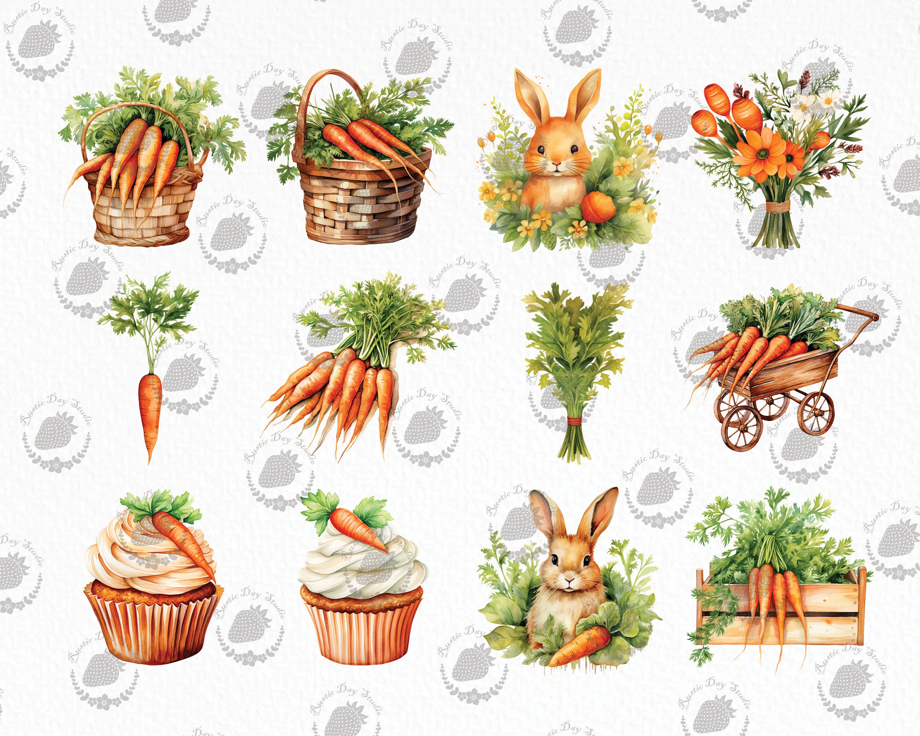 Watercolor Carrot Clipart Rabbit Art Bundle Vagetable Graphics ...