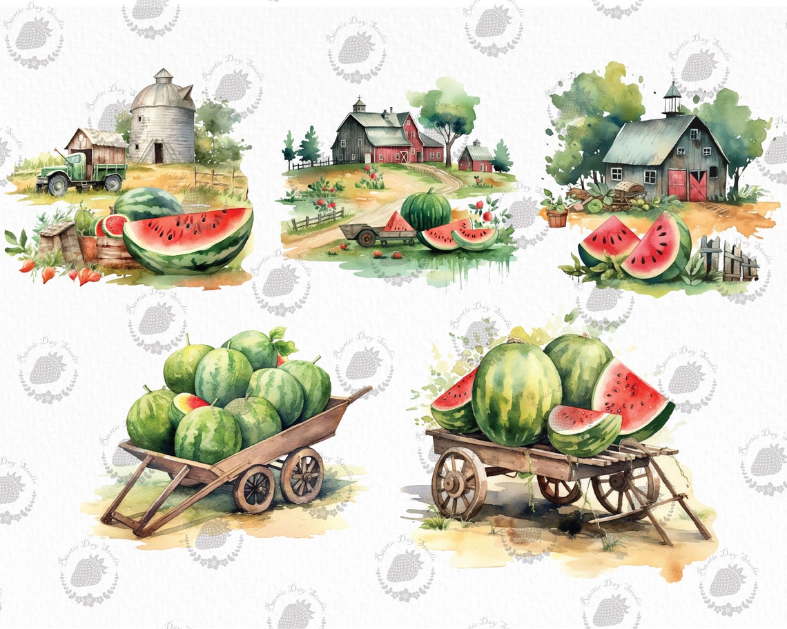 Watercolor Watermelon Clipart: Summer Fruit PNG Bundle - Etsy
