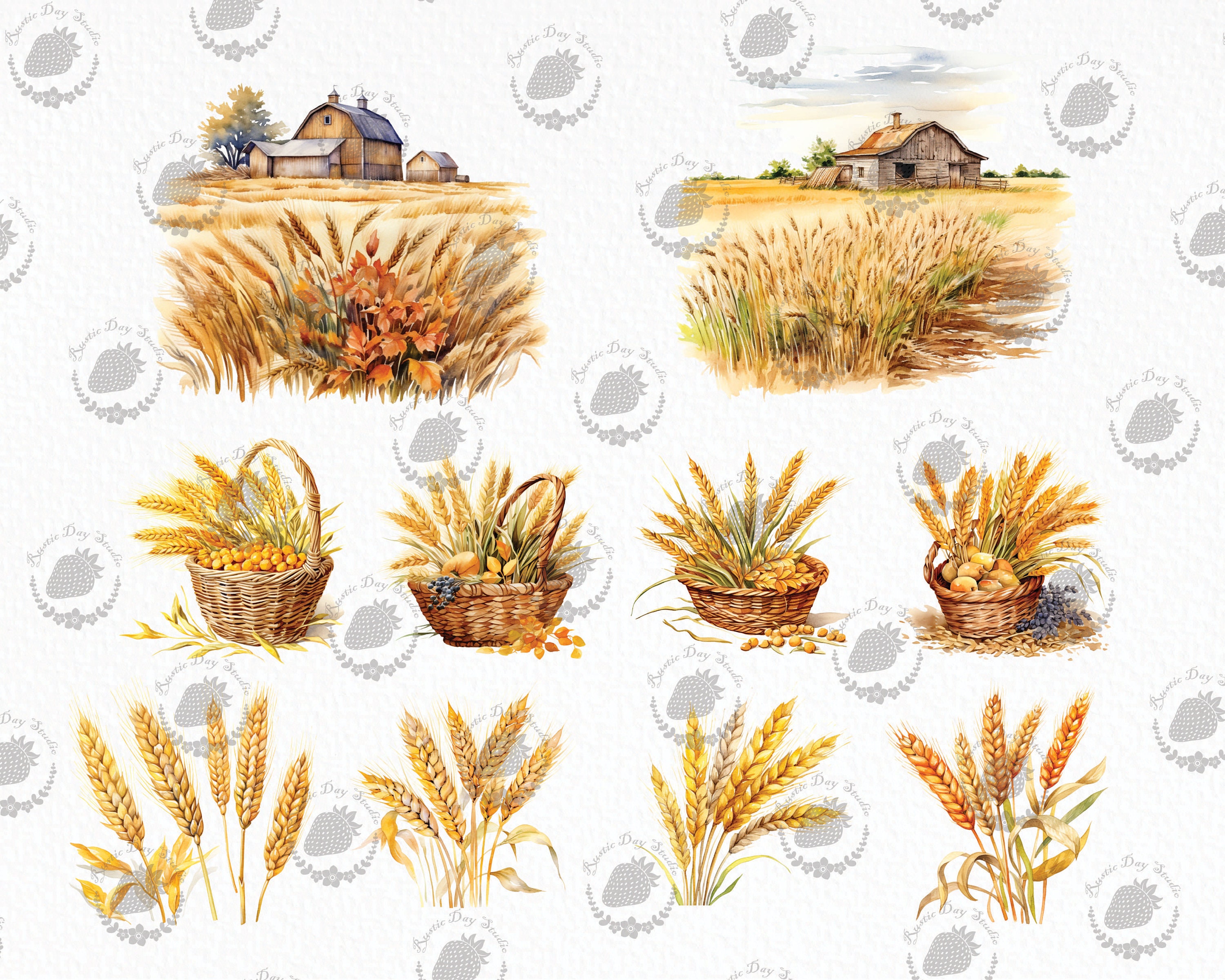 Watercolor Barley Clipart Farm Art Bundle Spring Garden Graphics ...
