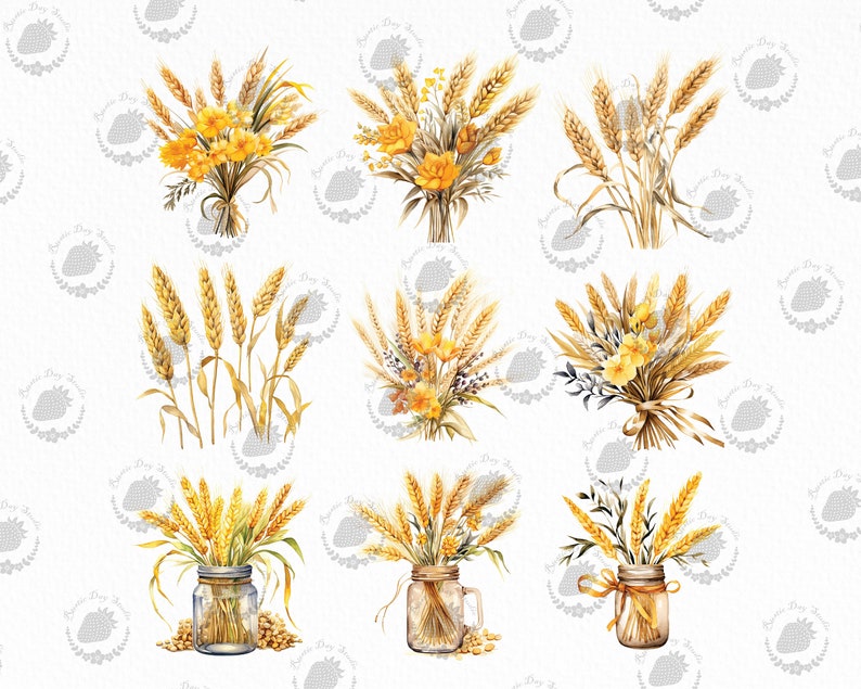 Watercolor Wheat Clipart Field Wheat PNG SVG Boquet Wheat Farm ...