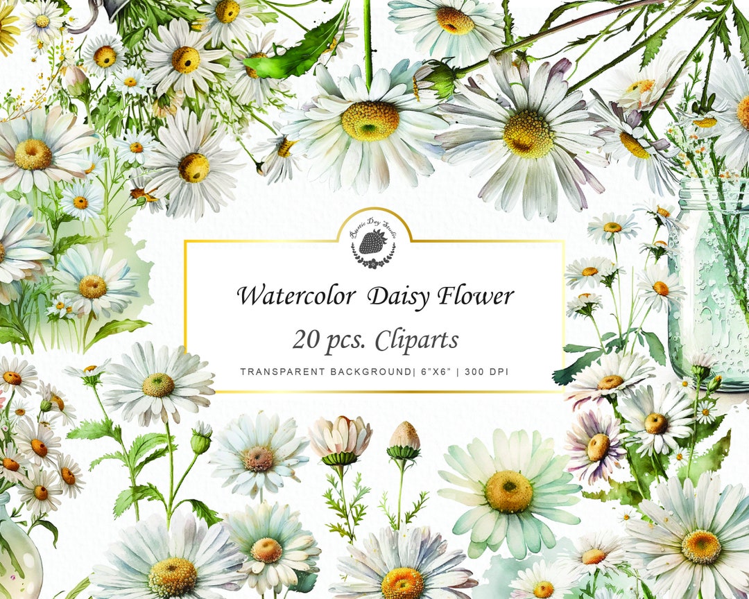 Watercolor Daisies Clipart Watercolor Floral Clipart Bouquets ...