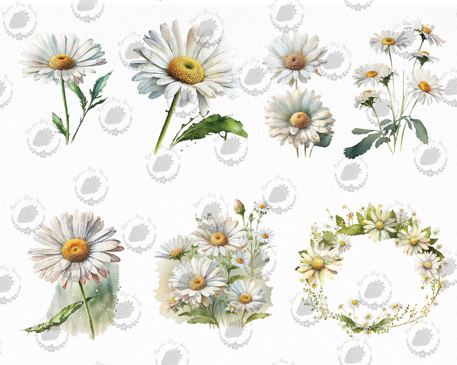 Watercolor Daisies Clipart Watercolor Floral Clipart Bouquets ...