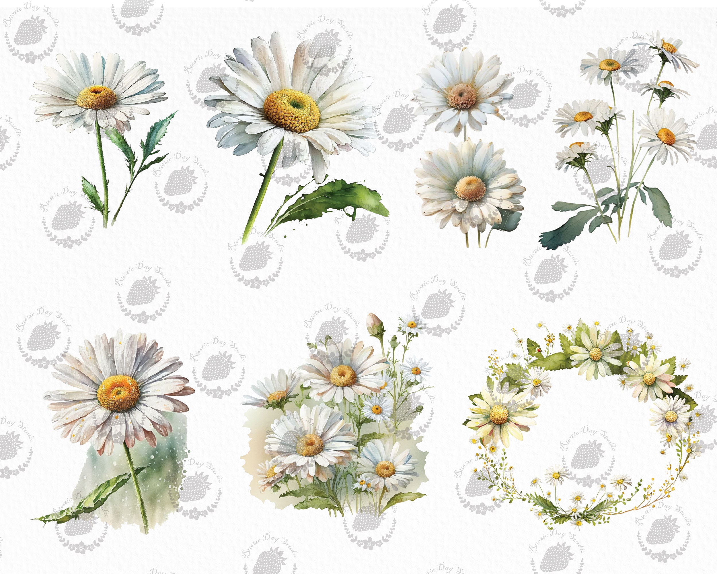 Watercolor Daisies Clipart Watercolor Floral Clipart Bouquets ...