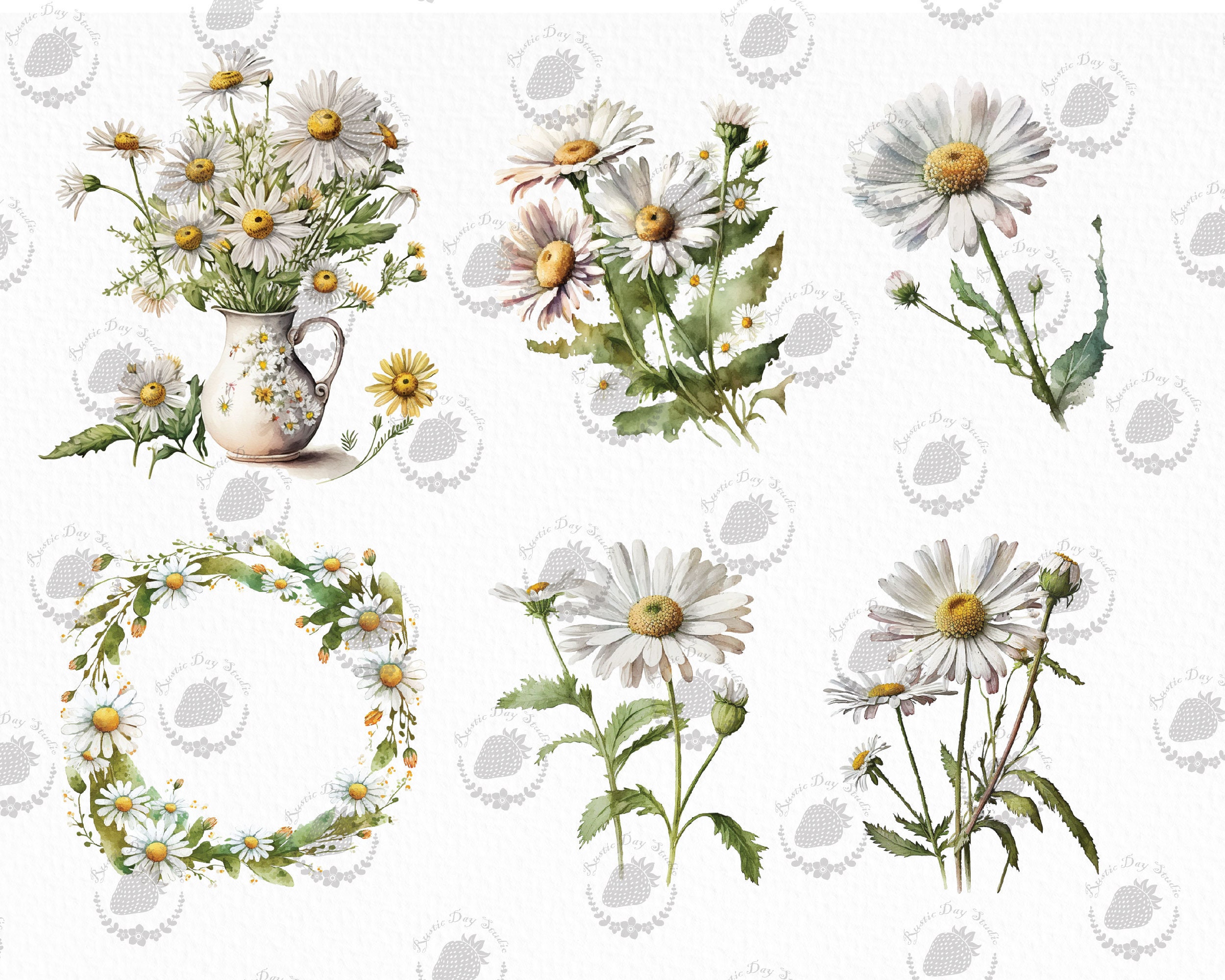 Watercolor Daisies Clipart Watercolor Floral Clipart Bouquets ...