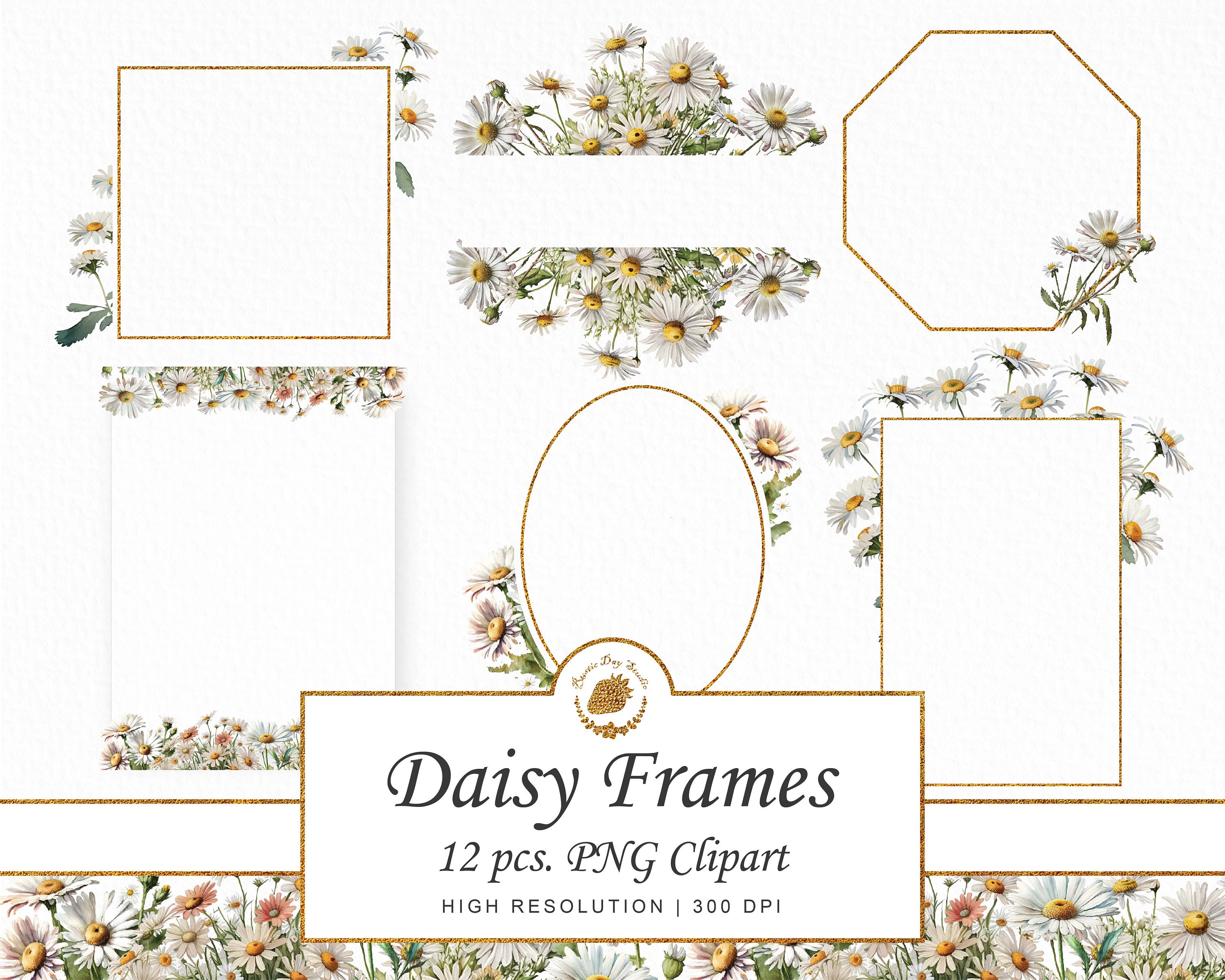 Watercolor Daisy Frames: Floral Clipart Bundle (PNG SVG) - Etsy