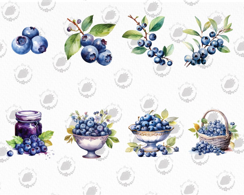 Watercolor Blueberry Watercolor Blueberry Clipart Bundle Juicy ...