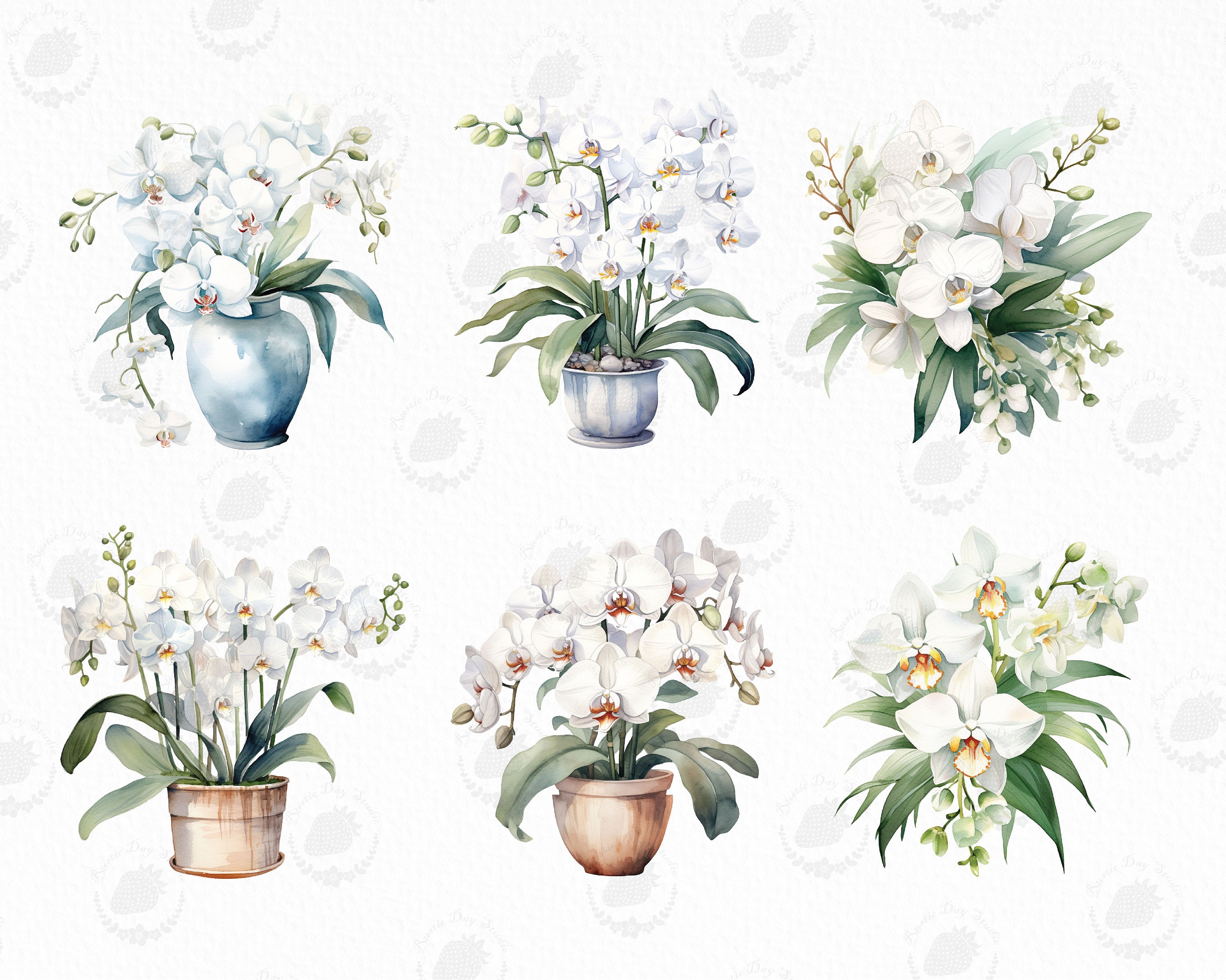 Watercolor White Orchid Clipart Elegant Orchid Clipart Bundle ikebana ...