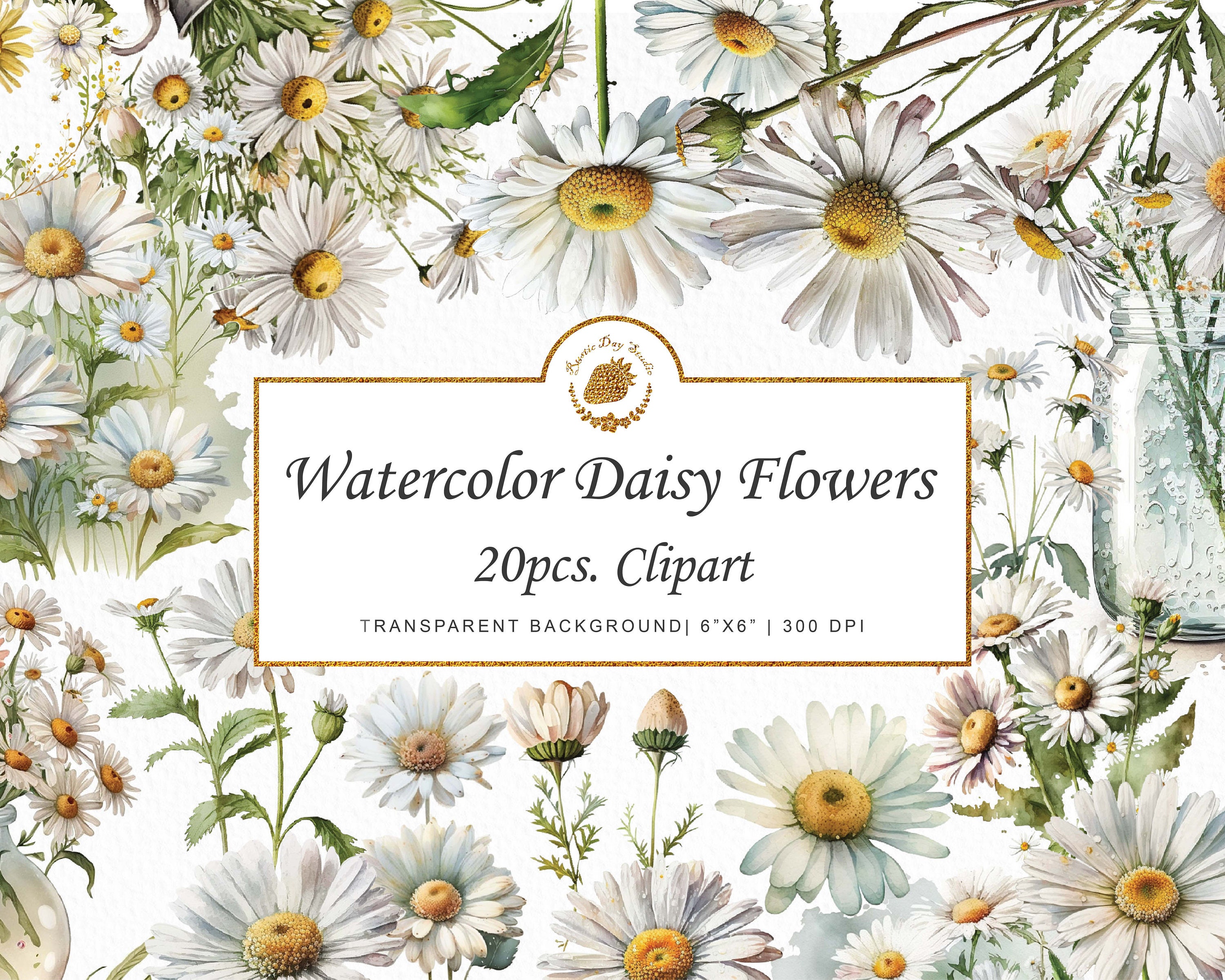 Watercolor Daisies Clipart Watercolor Floral Clipart Bouquets ...