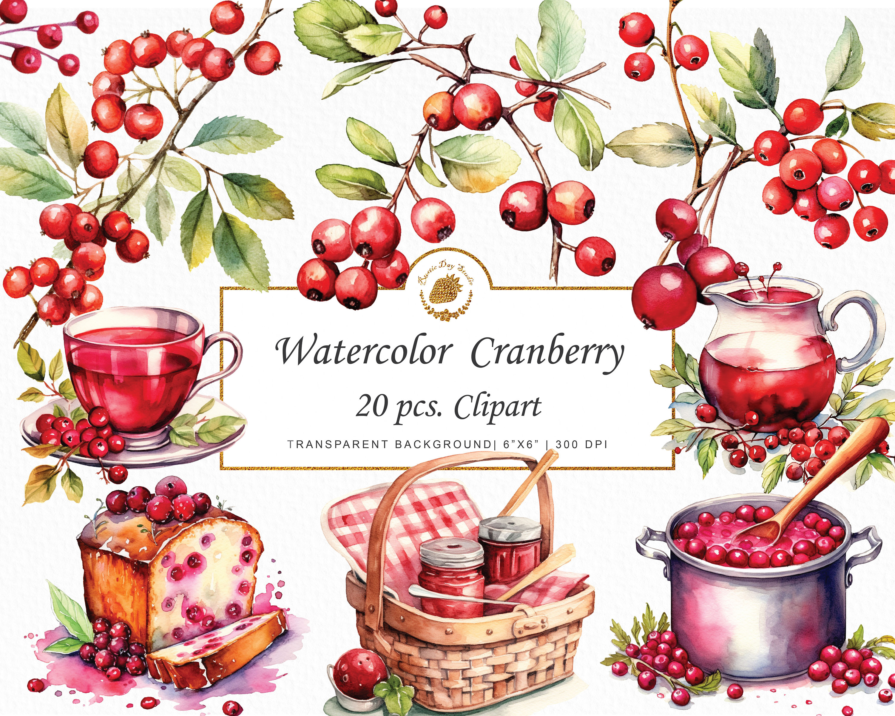 Watercolor Cranberry Clipart Fall Clipart Cranberries Svg Autumn ...