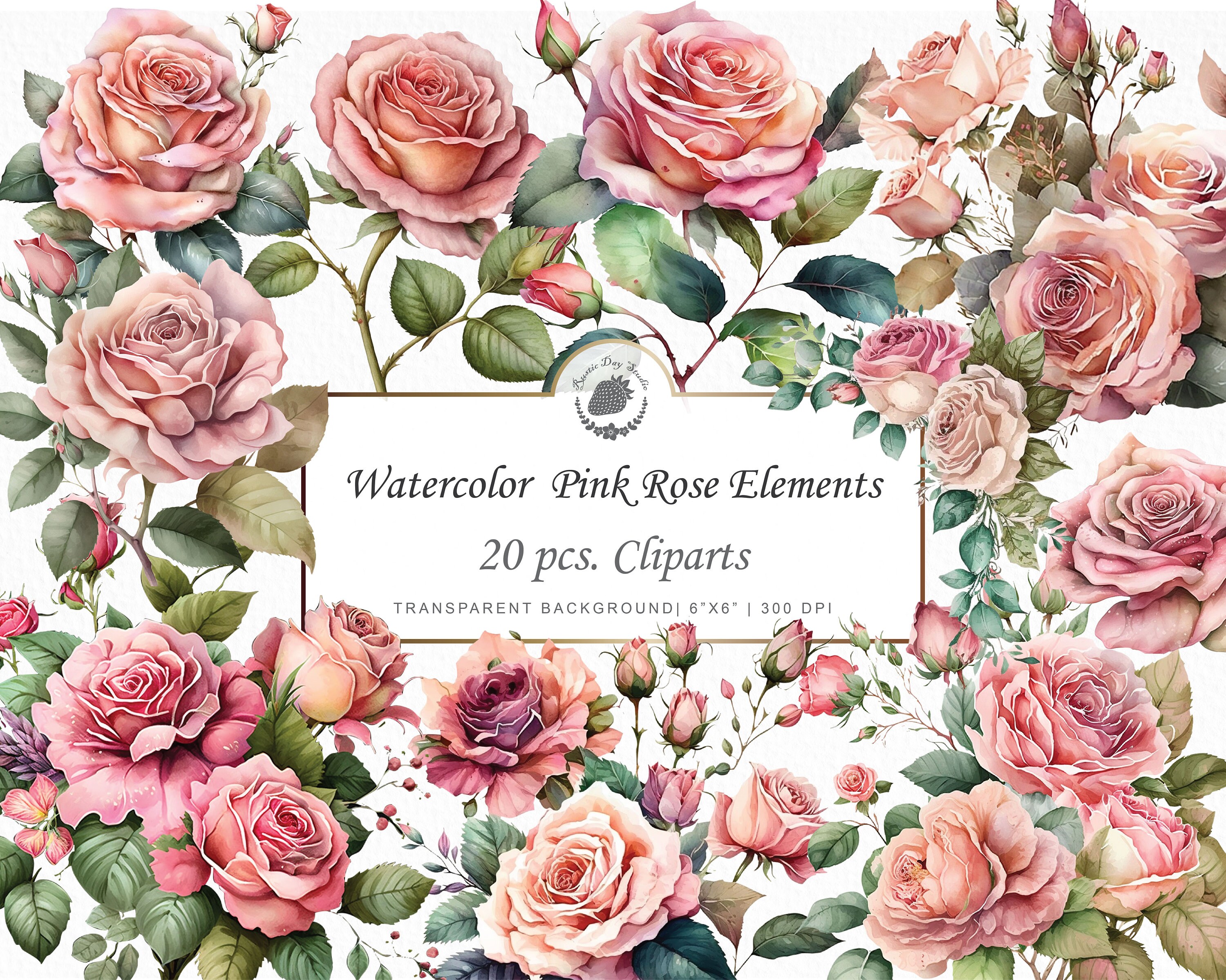 Watercolor Blushing Roses Watercolor Pink Roses Clipart Bundle - Etsy
