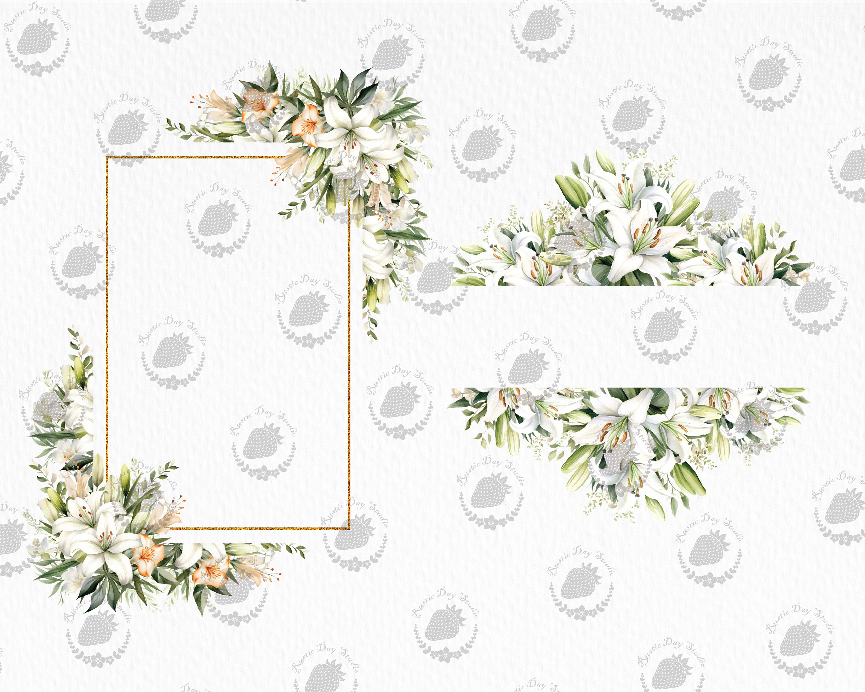 Watercolor White Lily Frames: Floral Clipart Bundle (PNG, SVG, Digital ...