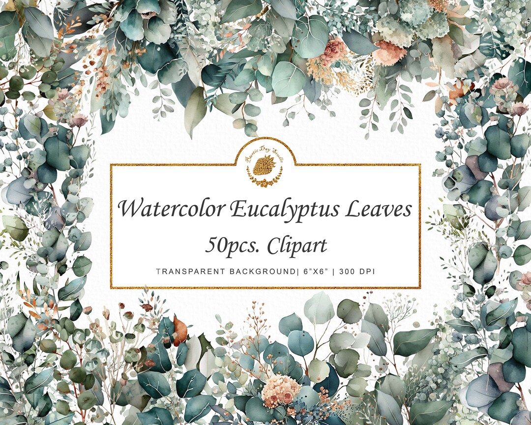 Watercolor Eucalyptus Clipart Bundle: Botanical Wedding Illustrations ...
