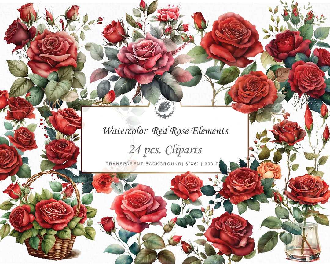 Watercolor Ruby Rose Bouquet Watercolor Red Roses Clipart - Etsy