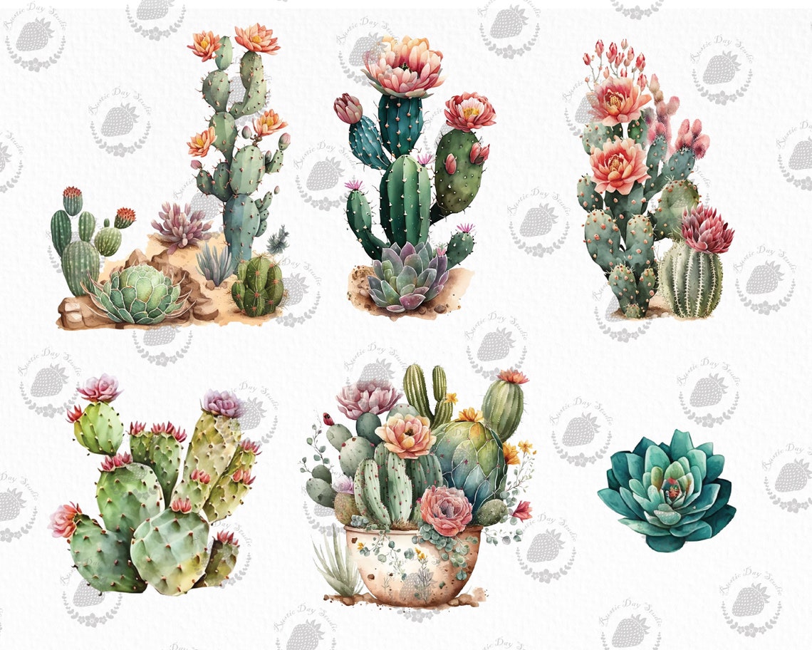 Watercolor Cactus Clipart: Floral PNG SVG Bundle (digital Download) - Etsy