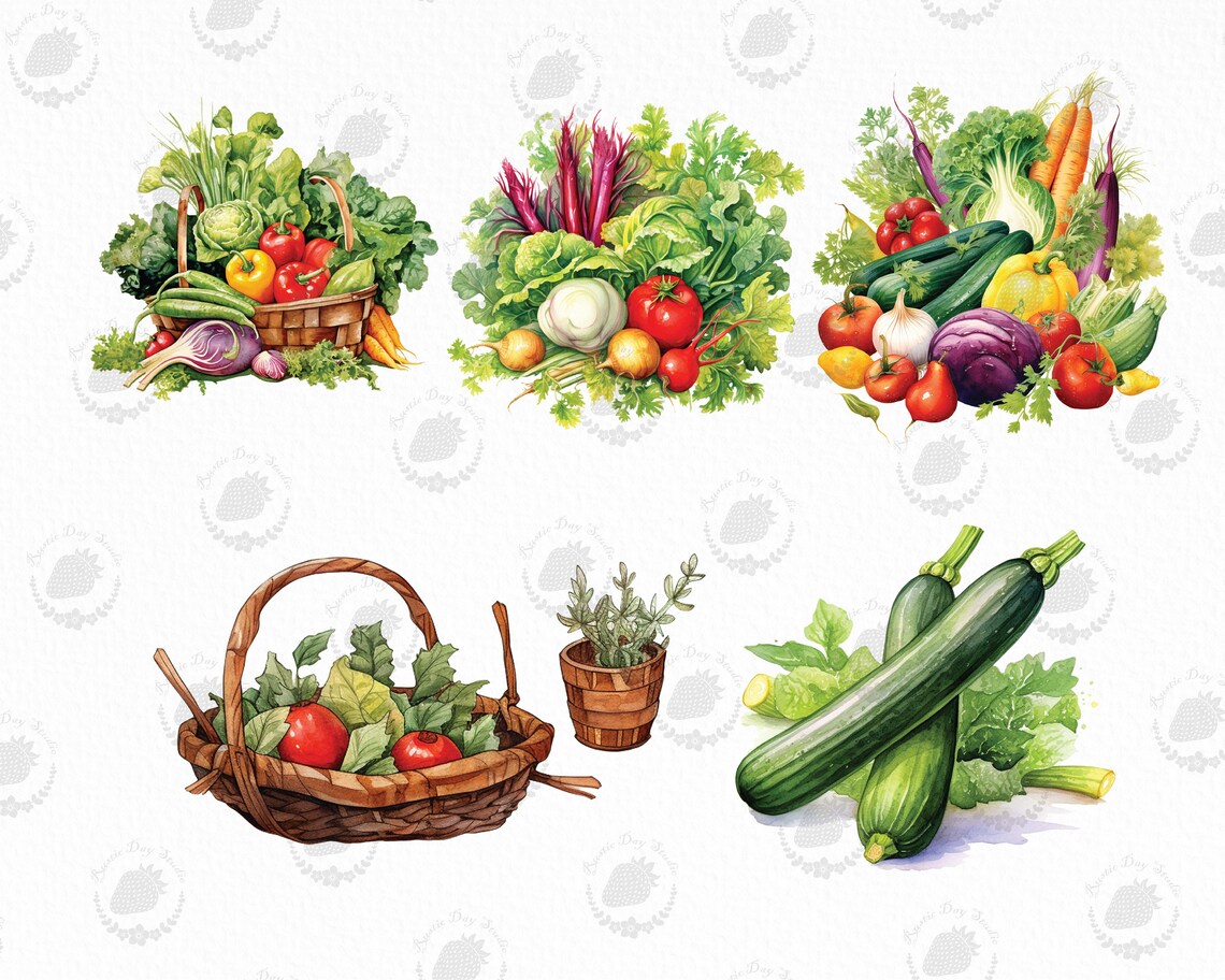 Watercolor Vegetable Clipart Assorted Vegetable Clipart Farm Clipart ...