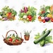 Watercolor Vegetable Clipart Assorted Vegetable Clipart Farm Clipart ...