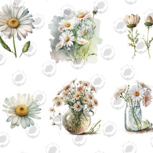 Watercolor Daisies Clipart Watercolor Floral Clipart Bouquets ...