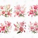 Watercolor Pink Lily Clipart Watercolor Lily PNG Pink Bouquets Lilies ...