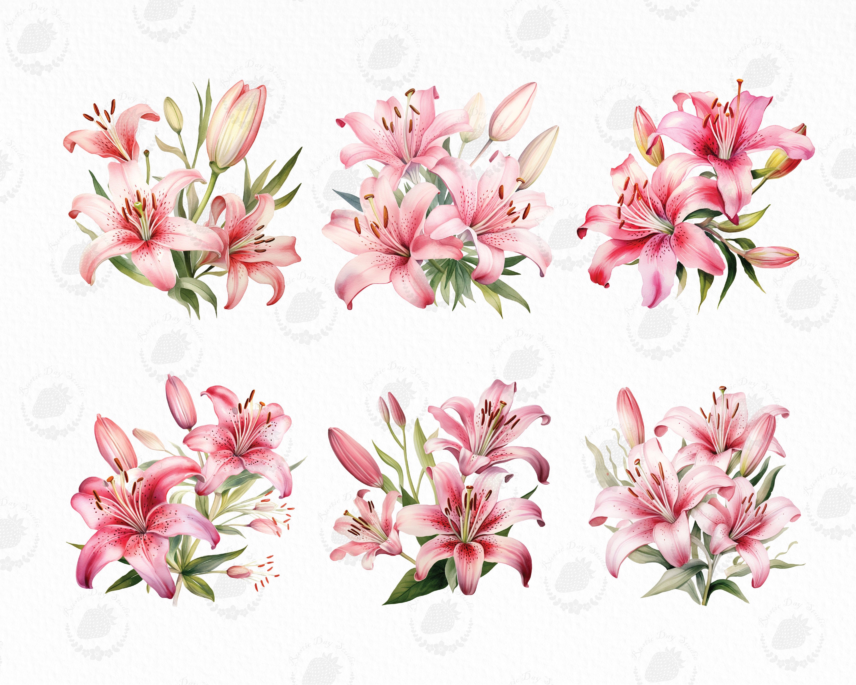 Watercolor Pink Lily Clipart Watercolor Lily PNG Pink Bouquets Lilies ...