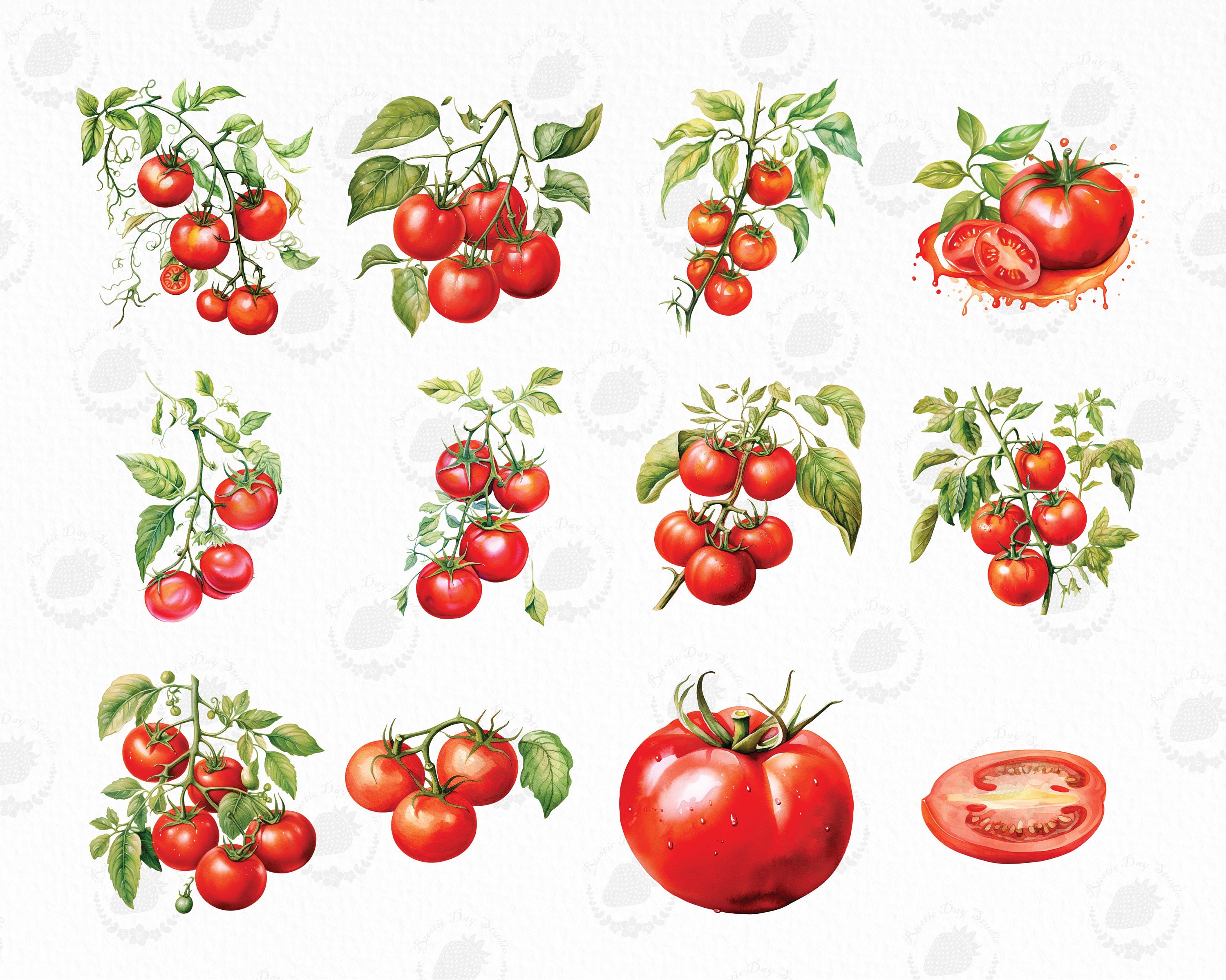 Watercolor Tomato Clipart Vegetable Clipart Farm Clipart Sticker Good ...