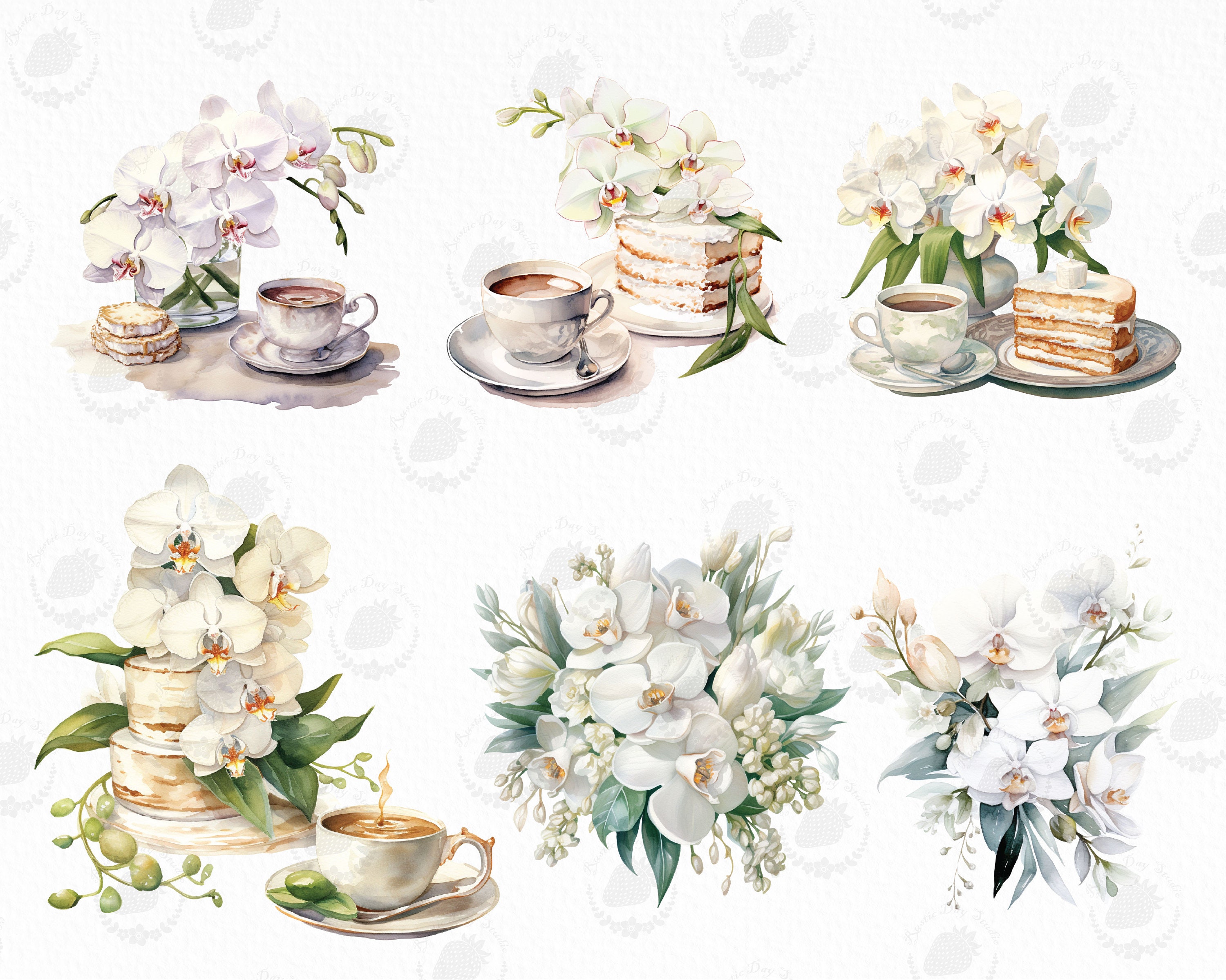 Watercolor White Orchid Clipart Elegant Orchid Clipart Bundle ikebana ...
