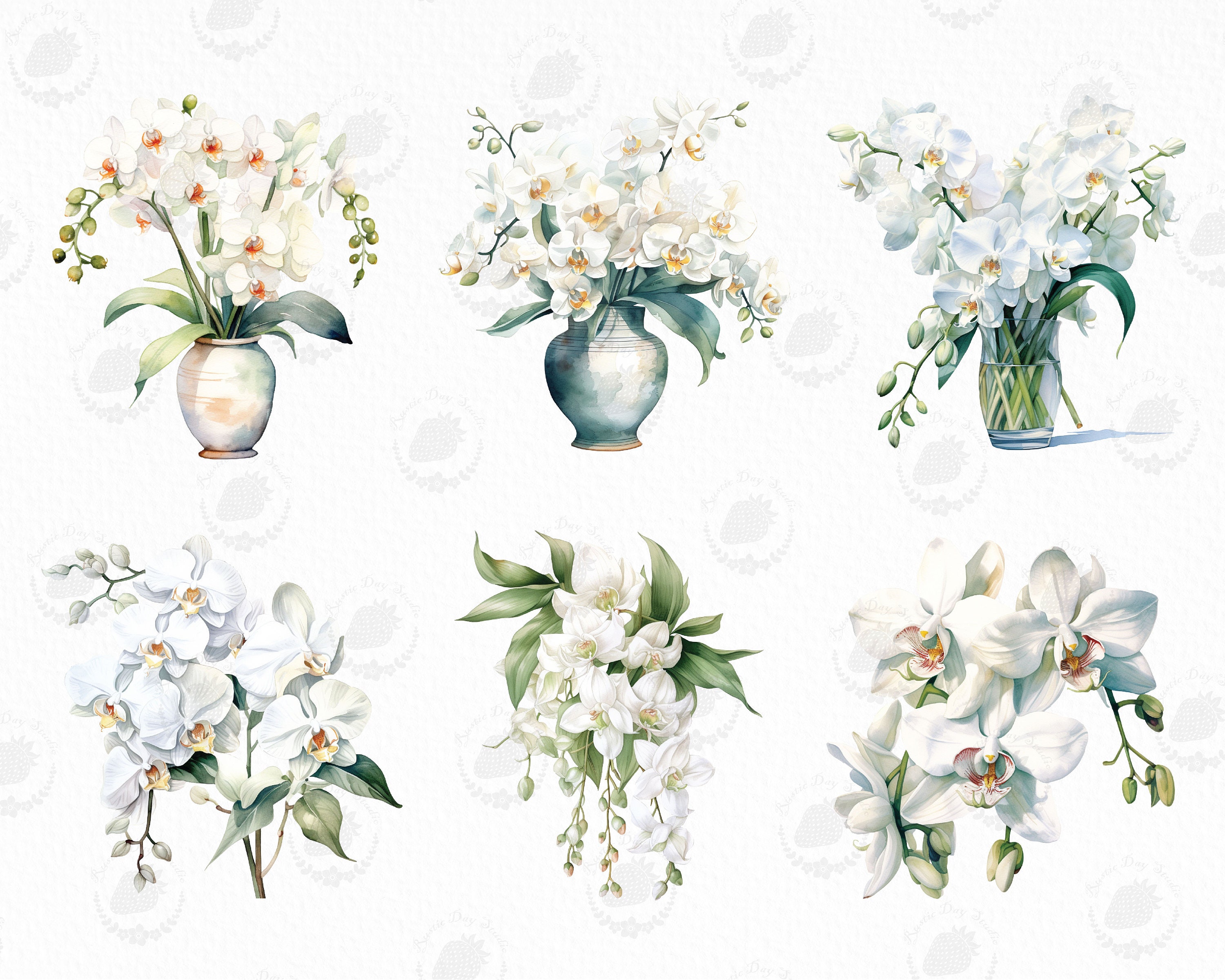 Watercolor White Orchid Clipart Elegant Orchid Clipart Bundle ikebana ...