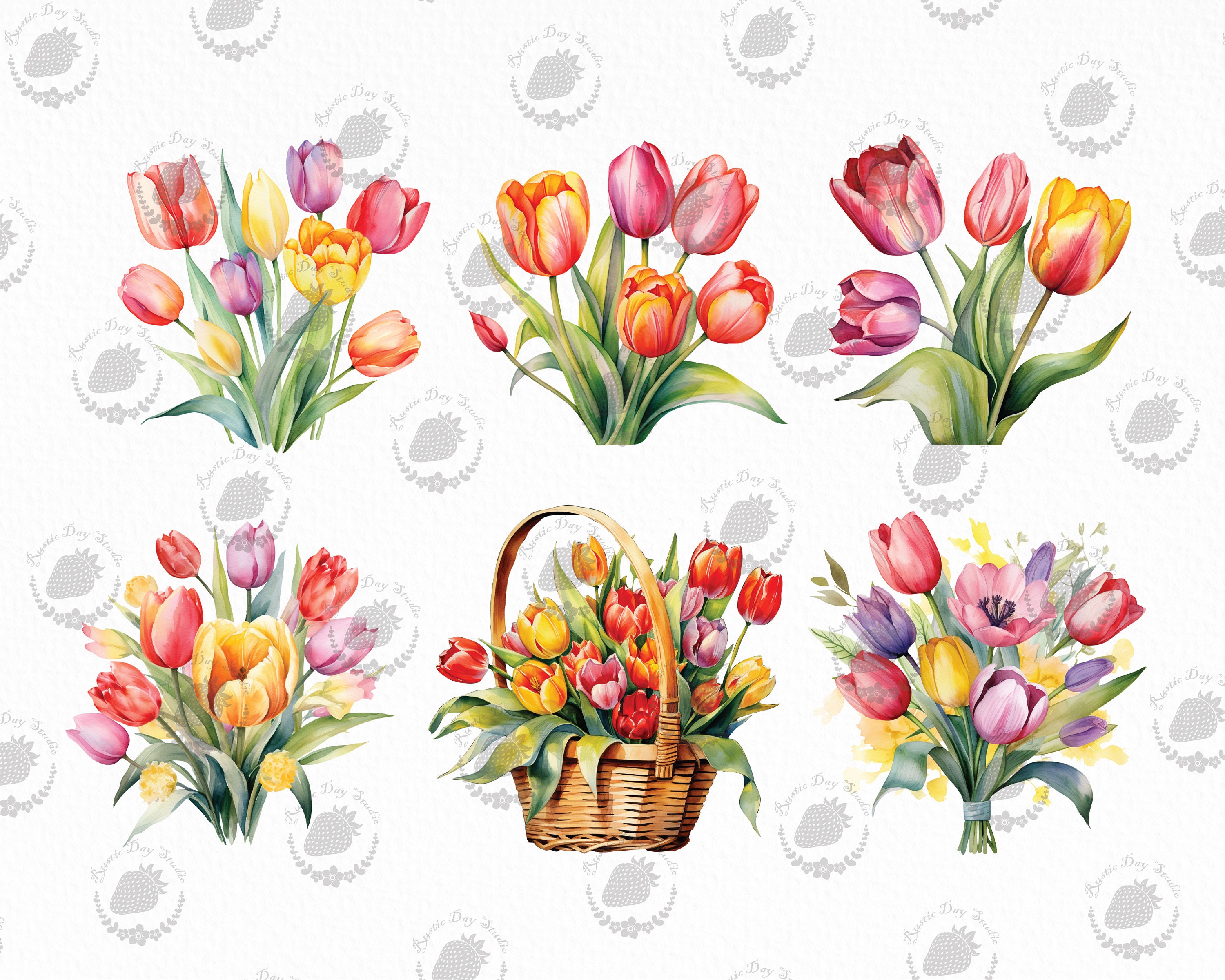 Watercolor Tulip Flower Clipart Watercolor Floral PNG Colorful Tulip ...