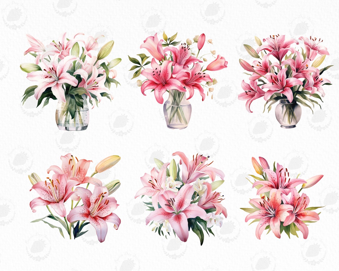 Watercolor Pink Lily Clipart Watercolor Lily PNG Pink Bouquets Lilies ...