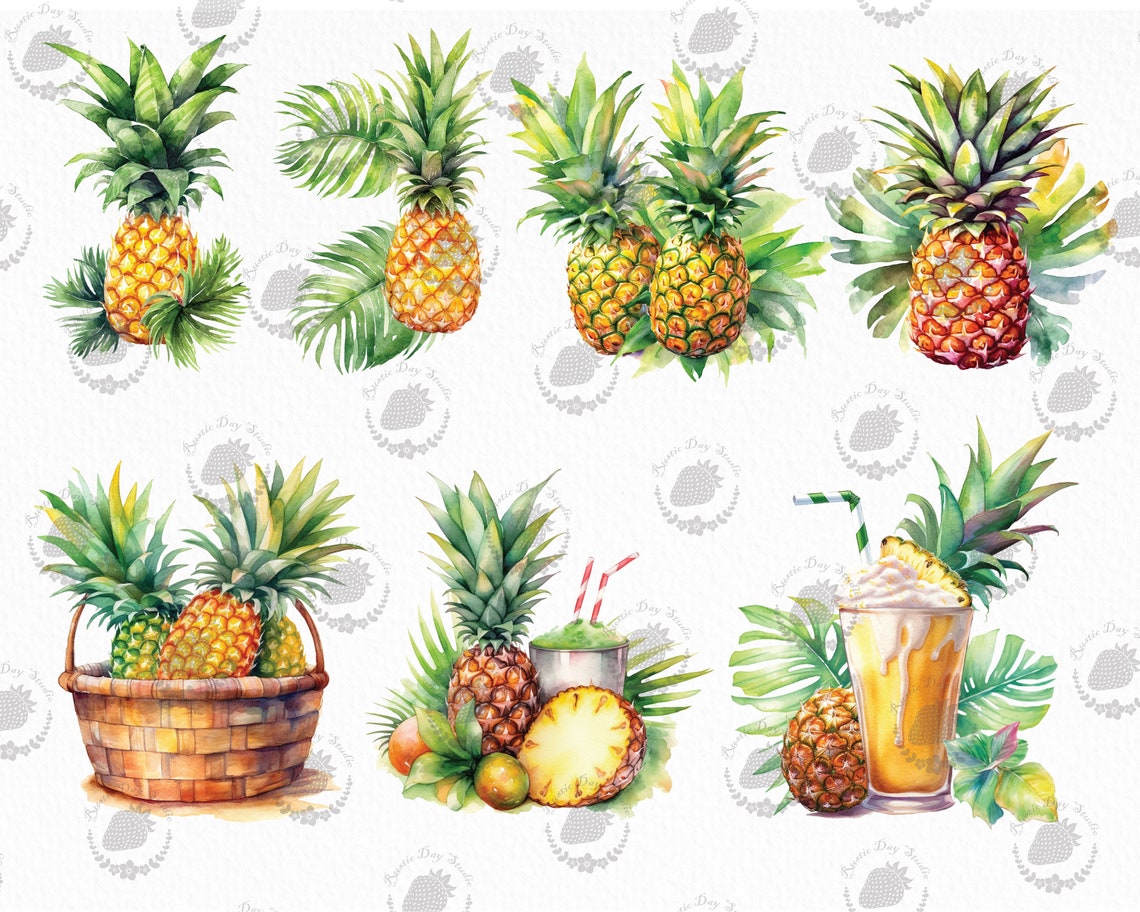 Watercolor Pineapple Clipart Tropical Clipart Piñacolada Clipart ...