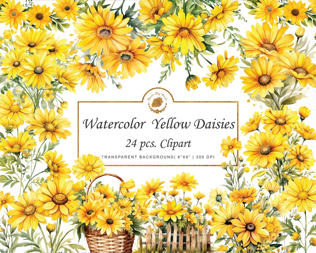 Watercolor Daisy Clipart Instant Download Yellow Daisy Flower Clipart ...