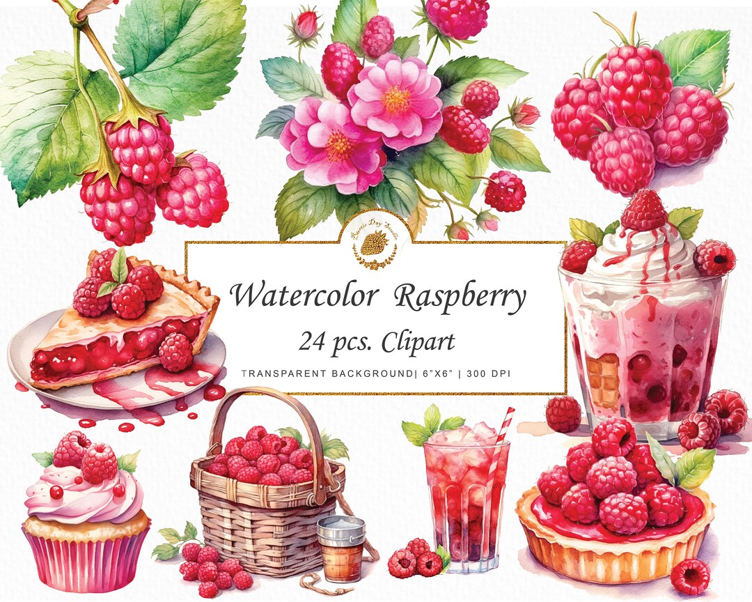 Watercolor Raspberry Clipart Watercolor Clipart Bundle Digital Art ...