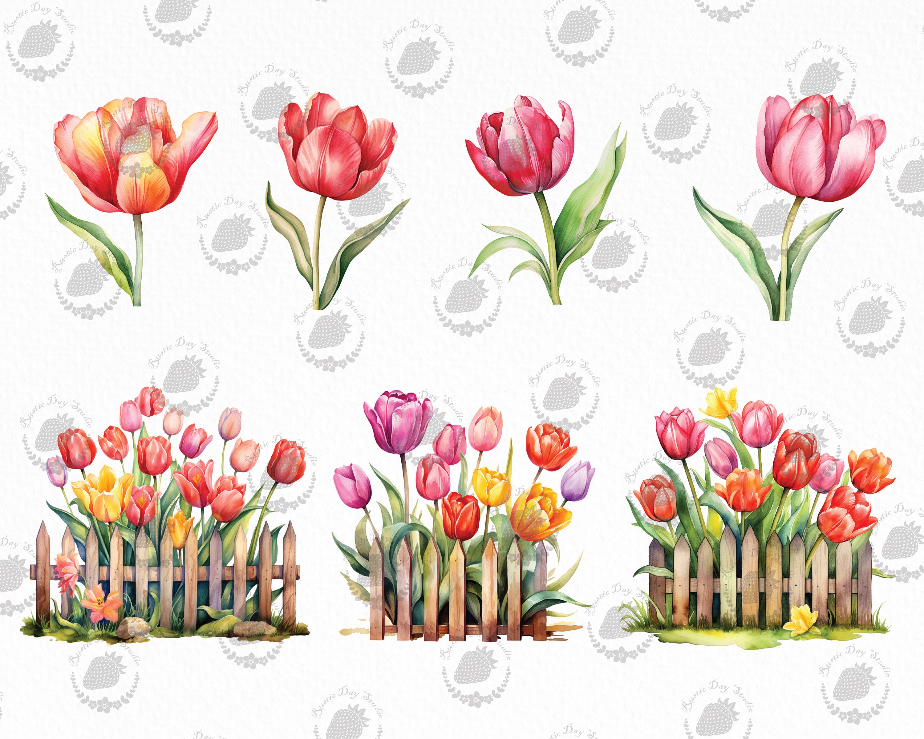 Watercolor Tulip Flower Clipart Watercolor Floral PNG Colorful Tulip ...