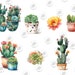 Watercolor Cactus Clipart: Floral PNG SVG Bundle (digital Download) - Etsy