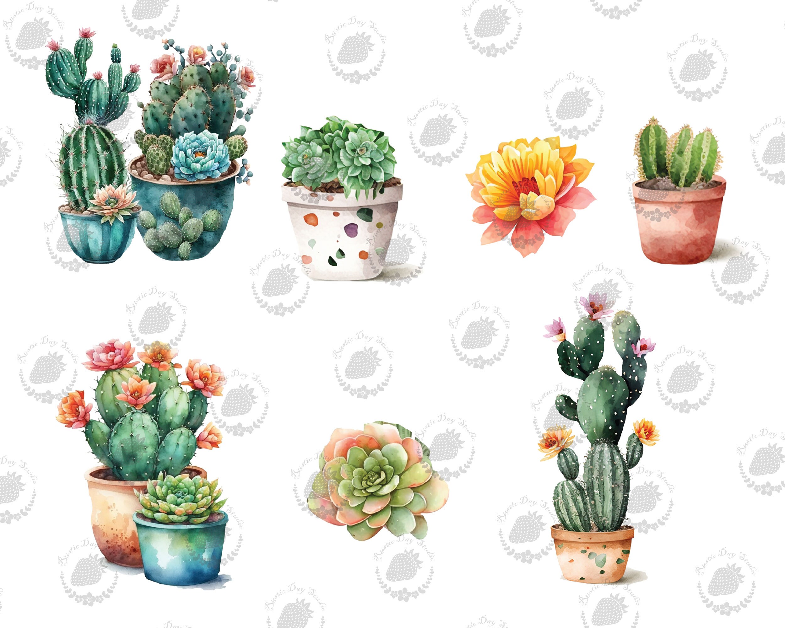 Watercolor Cactus Clipart: Floral PNG SVG Bundle (digital Download) - Etsy