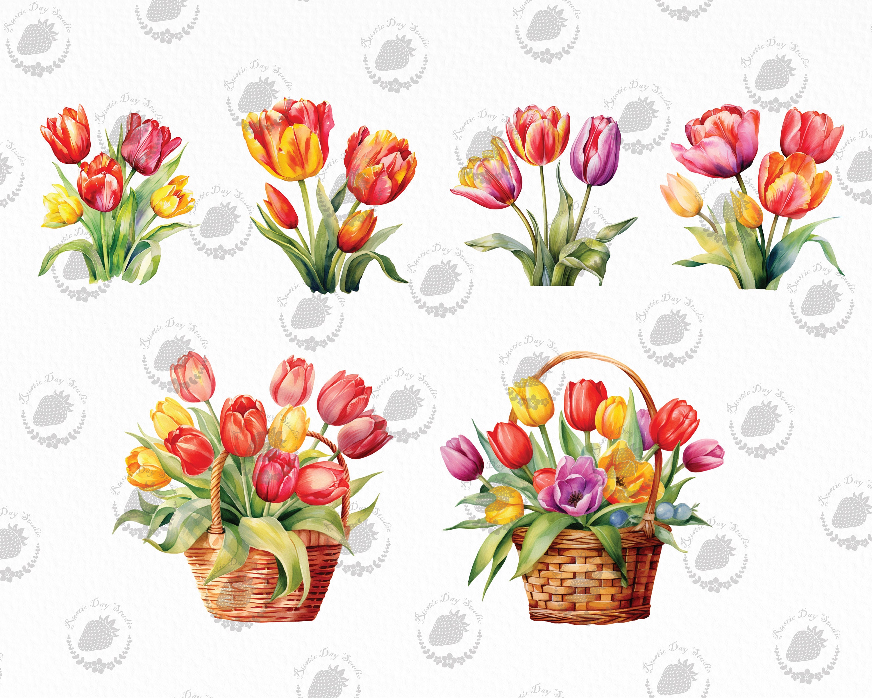 Watercolor Tulip Flower Clipart Watercolor Floral PNG Colorful Tulip ...