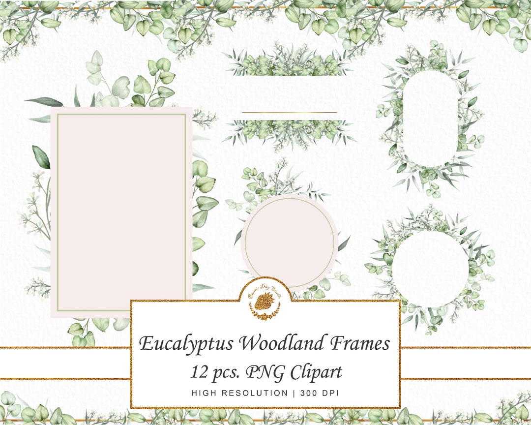 Watercolor Eucalyptus Frames Bundle Leaves Sage Clipart PNG SVG Frame ...